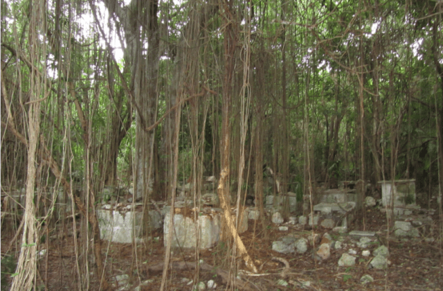 Jewish Cemetery, Manchester | Jamaican Ancestral Records