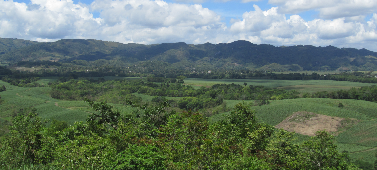 PHOTO JOURNEY | Jamaican Ancestral Records